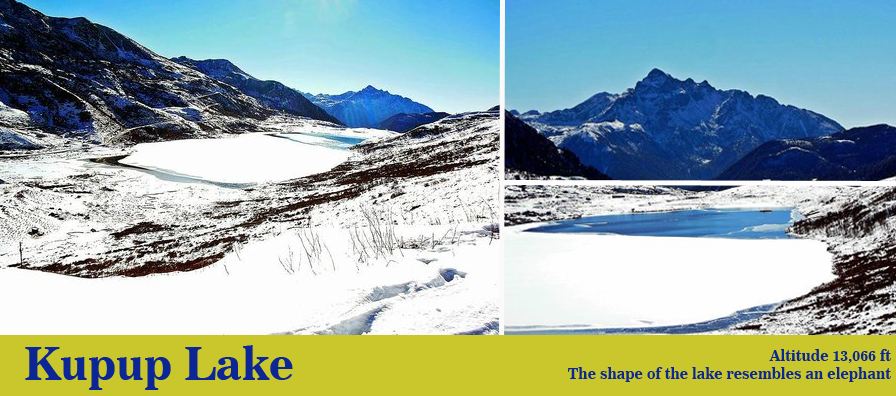 best taxi service to visit kupup or elephant lake sikkim